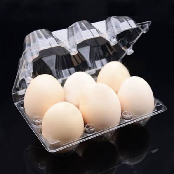 Disposable Hinged Egg Tray - 6pcs (Rectangle) Transparent - Suppdock