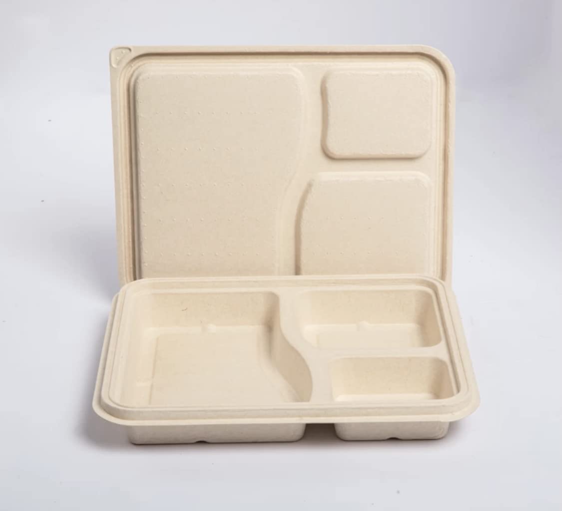3CP Bagasse Meal Tray with Lid (C1) – Suppdock